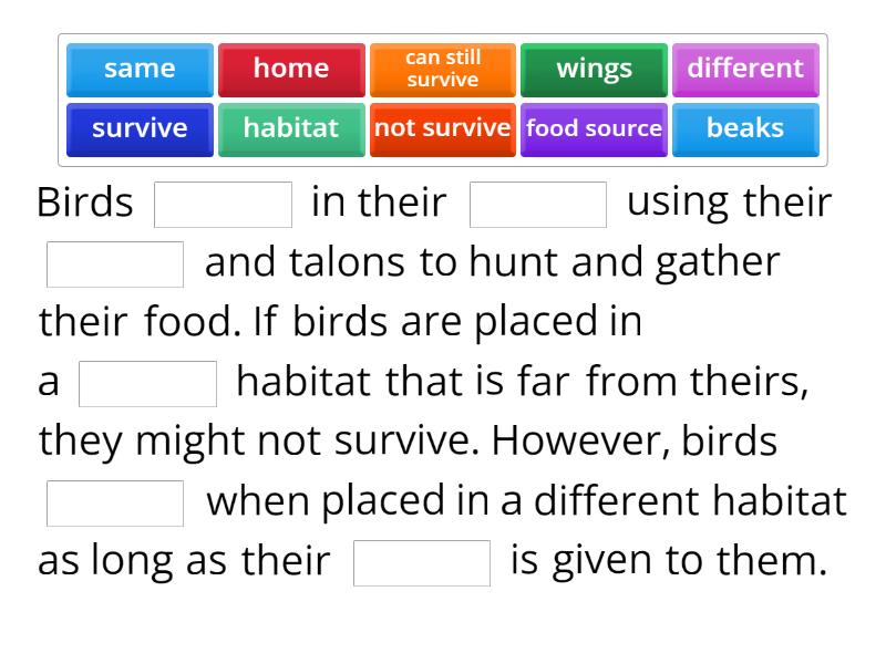 Summary: Bird Activity - Complete the sentence