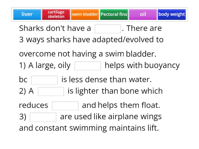 Sharks and Fish - Complete the sentence