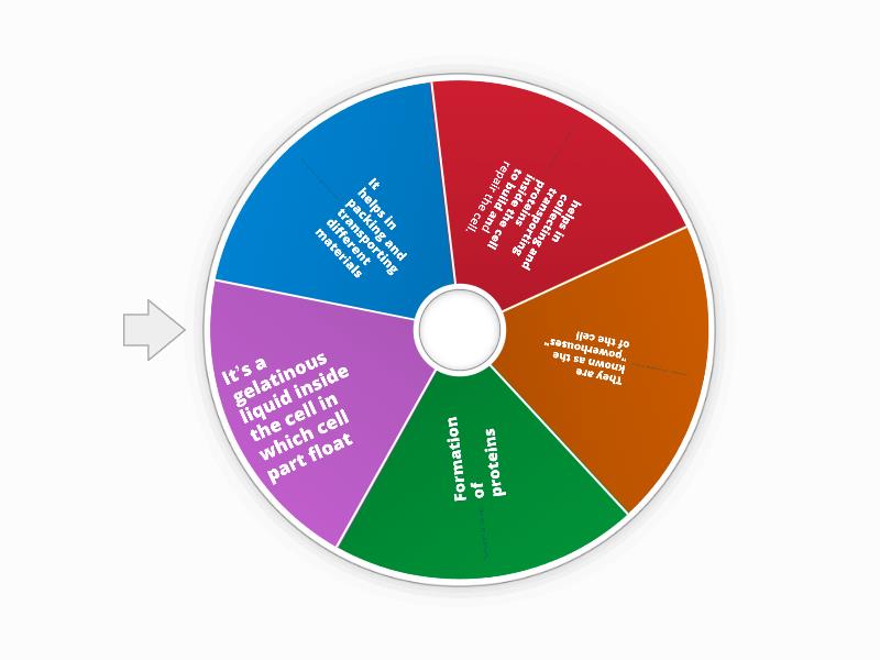 Animal cell - Spin the wheel