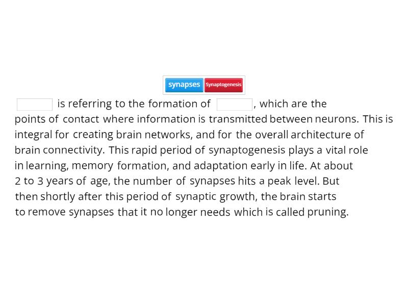 Neurological Terminology - Knowledge Test - Complete the sentence
