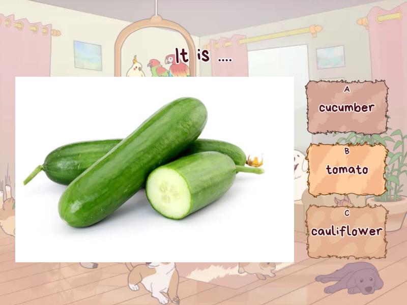 Answer the question correctly based on the picture! - Quiz