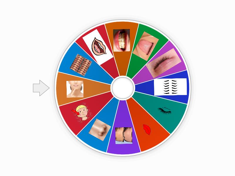 Face - Spin the wheel