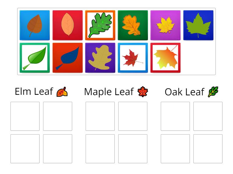 Leaf Sorting - Group sort