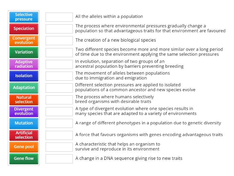 10 Evolution: Evolution Terminology - Match up