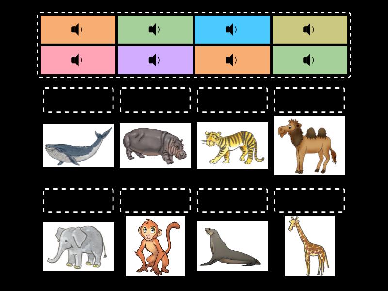 zoo animals - Match up