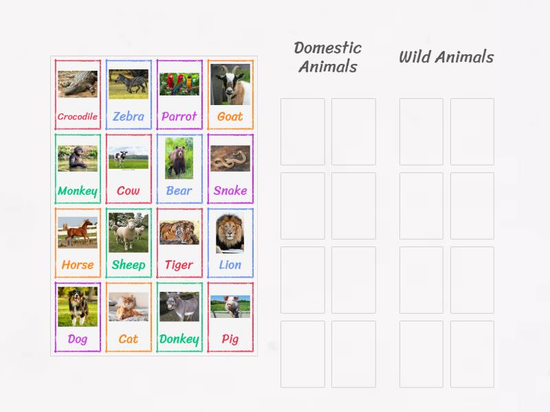Domestic Animals and Wild Animals - Group sort