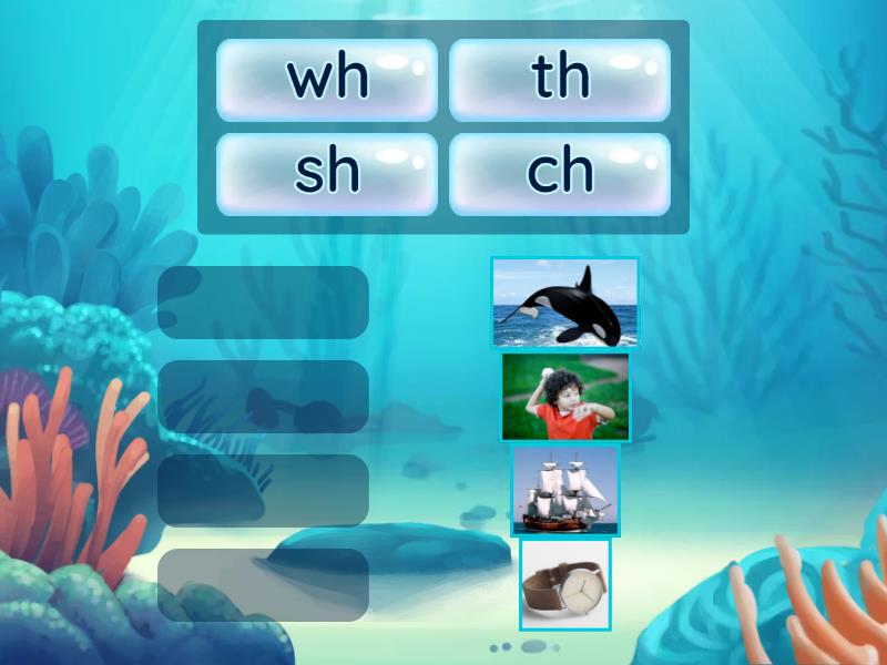 Match the digraph wh, th, sh, ch - Match up