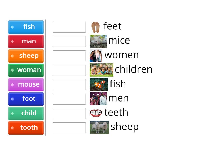 Spotlight 3 Modules 5 Unit 9b Plural forms - Match up