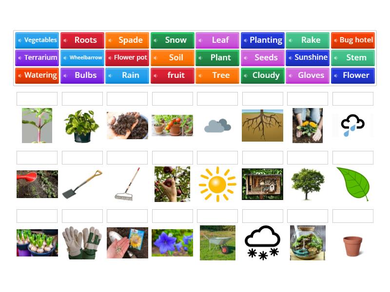 Horticulture words matching - Match up