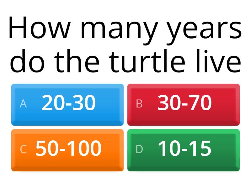 Turtle - Quiz