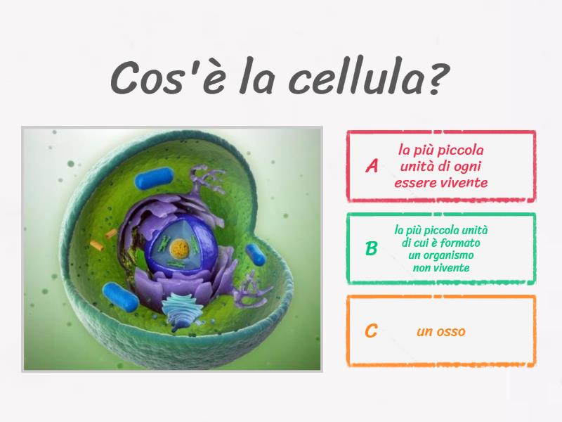 La cellula: - Quiz