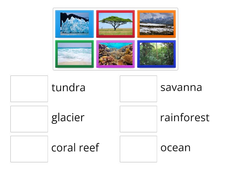 biomes - Match up