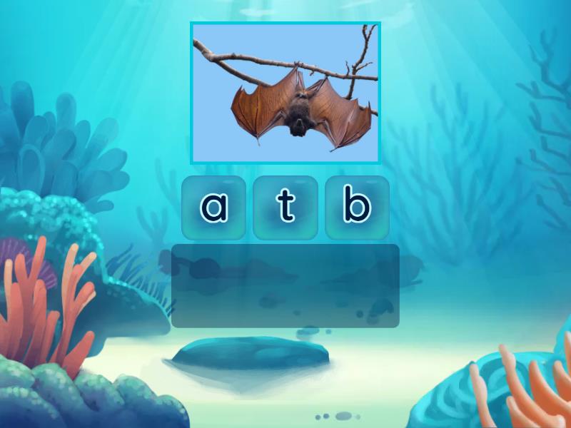 Short Vowel A ( _at & _ap ) - Anagrama