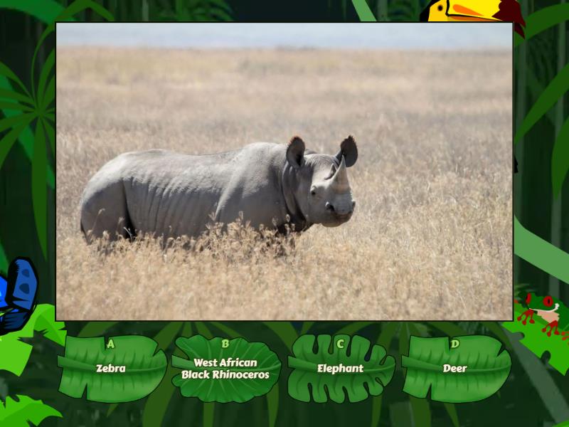 GET TO KNOW EXTINCT ANIMALS - Quiz