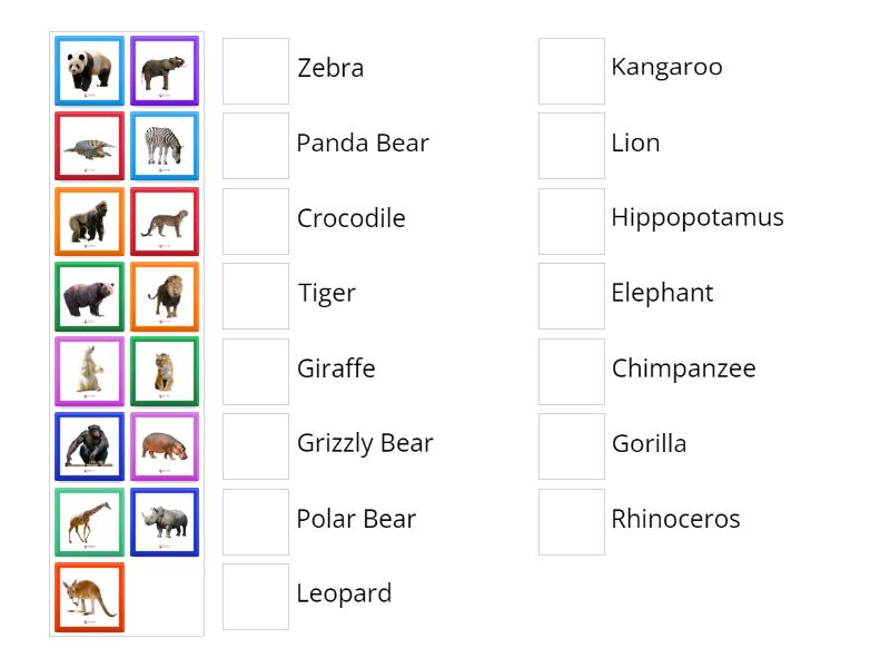 WILD ANIMALS - VOCABULARY - PART 2 - Match up