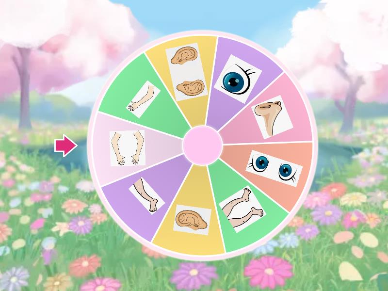 safari 1 (body) - wheel - Spin the wheel