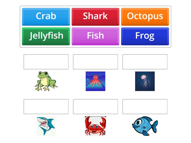 Match picture with name - Match up