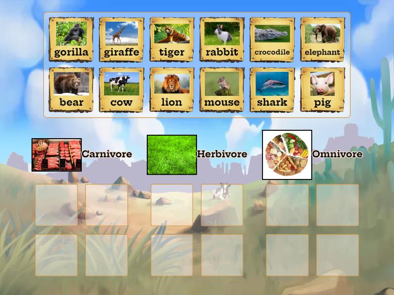 Carnivore, herbivore and omnivore - Group sort