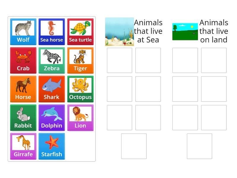 Sorting Sea Creatures - Group sort