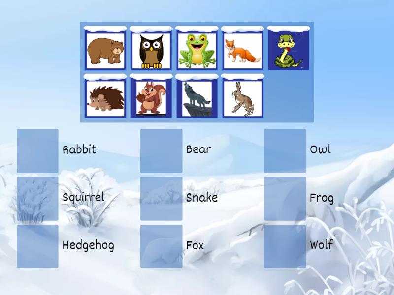 Forest Animals - Match up