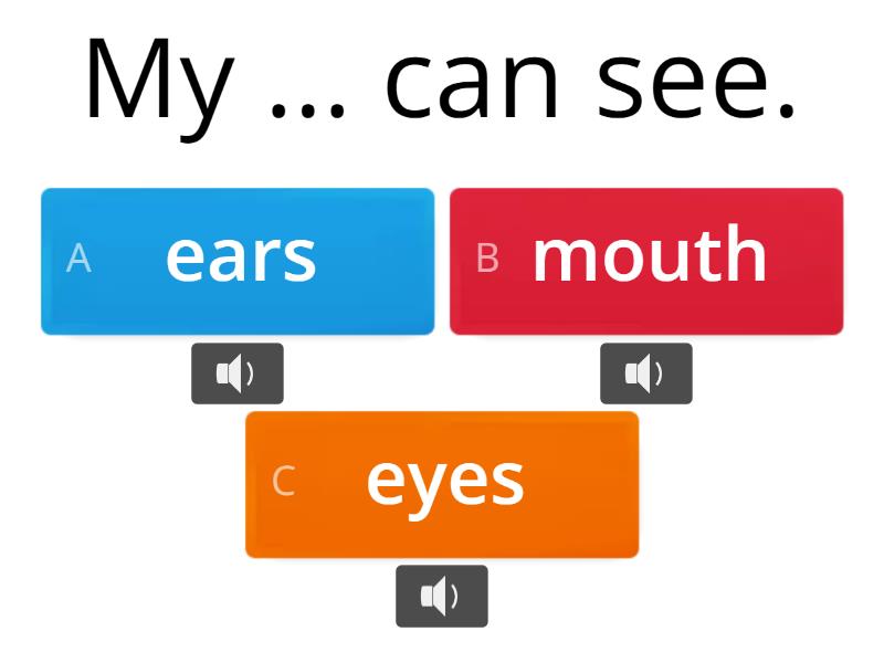 My eyes can see. - Quiz