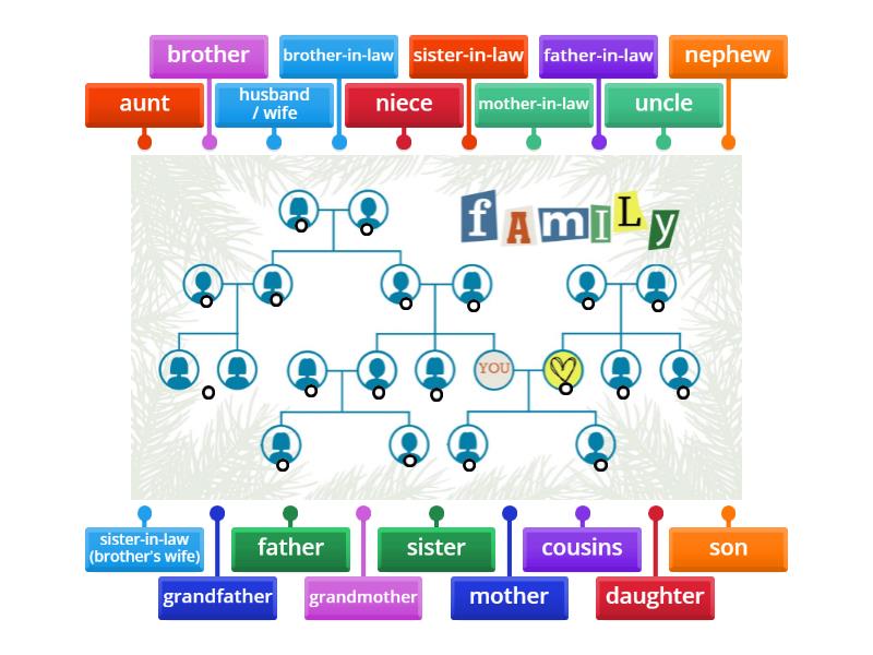 Family tree - Labelled diagram