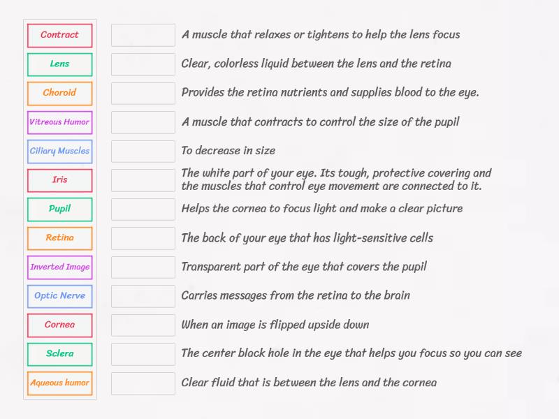 Human Eye - Match up