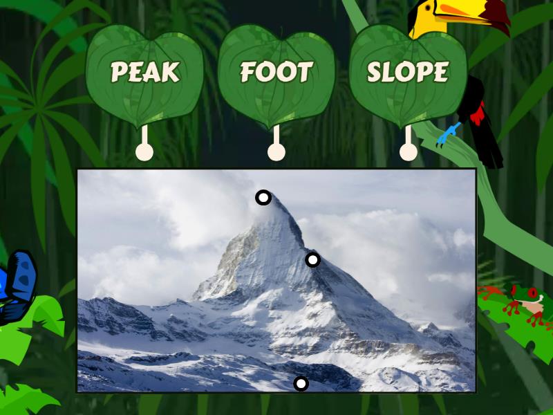GRADE 3: PARTS OF MOUNTAIN - Labelled diagram