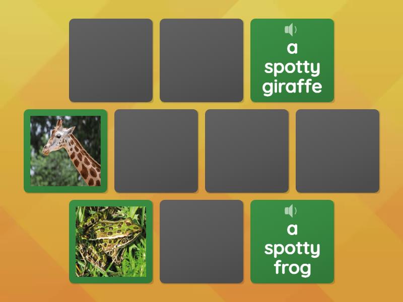 Spotty - 2 - Matching pairs