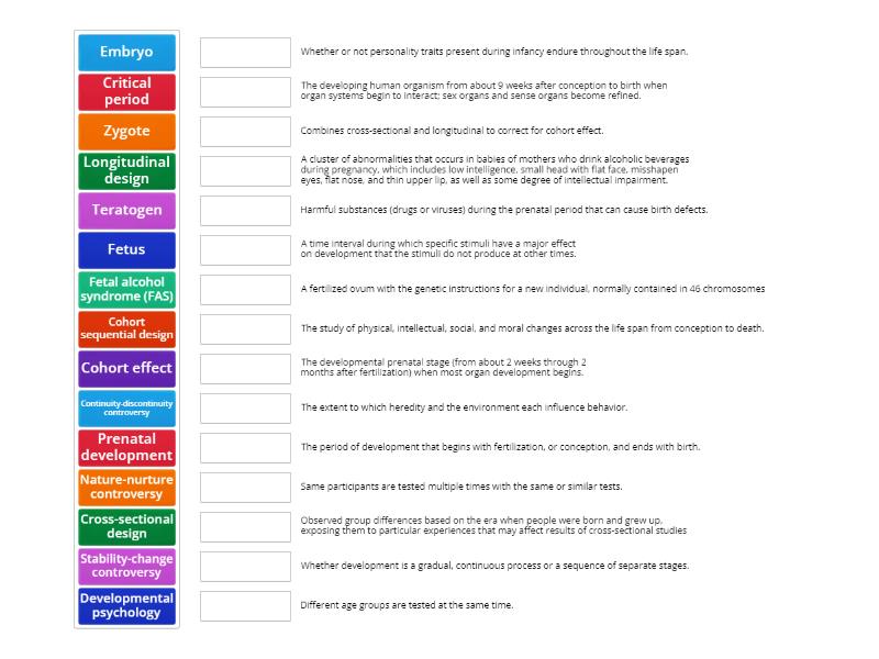 Developmental Psychology part 1 - Match up