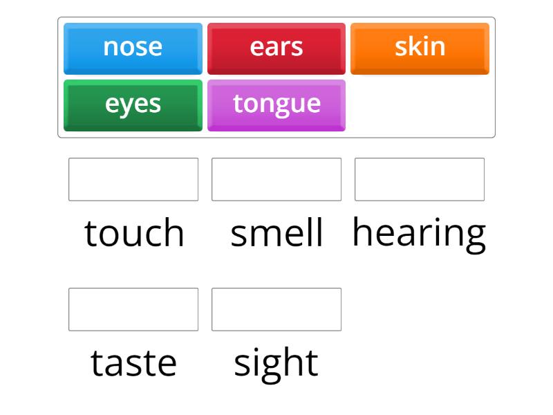Body language - match the part of the body with the sense - Match up