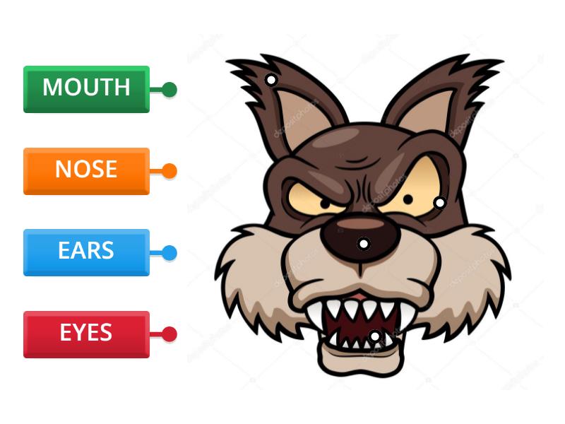 THE WOLF HAS GOT ...... - Labelled diagram