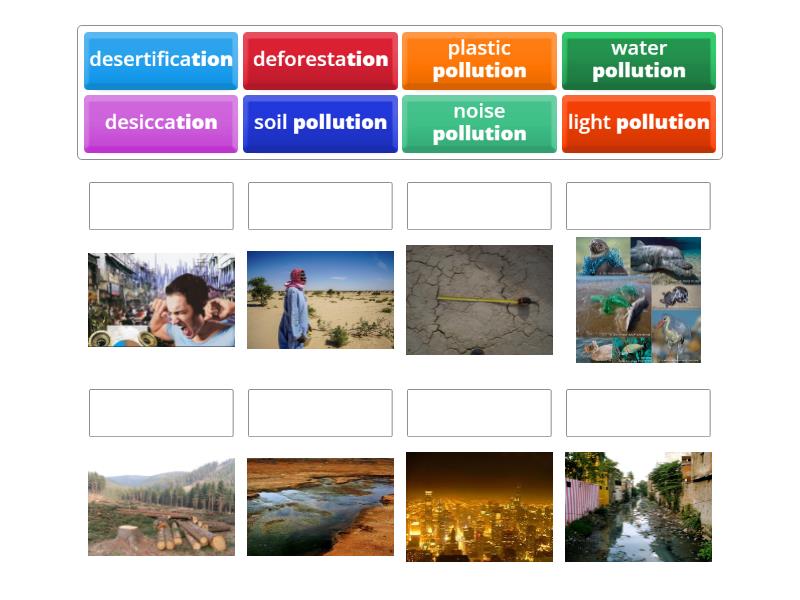 Types of Pollution - Match up