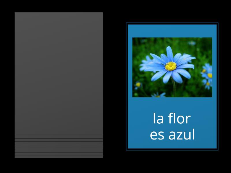 vocabulario color azul en español - Speaking cards