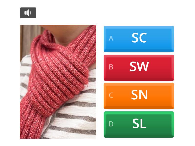 Phonics sc,sw,sn,sl - Quiz