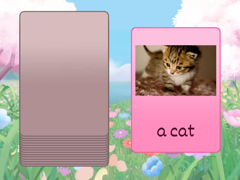 animals - Speaking cards