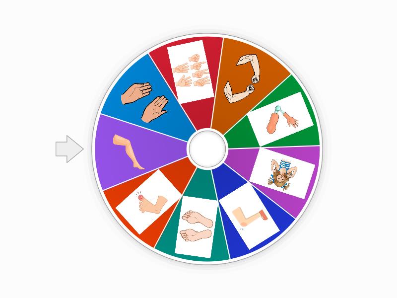 PARTS OF THE BODY - Spin the wheel