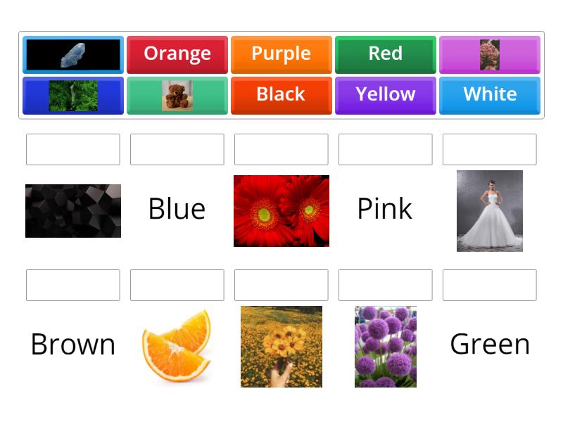 Colors - Match up
