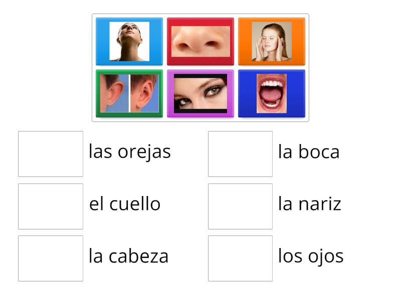 la cara vocabulary - Match up