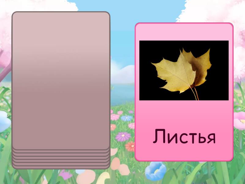 How many? (present simple to be) - Speaking cards