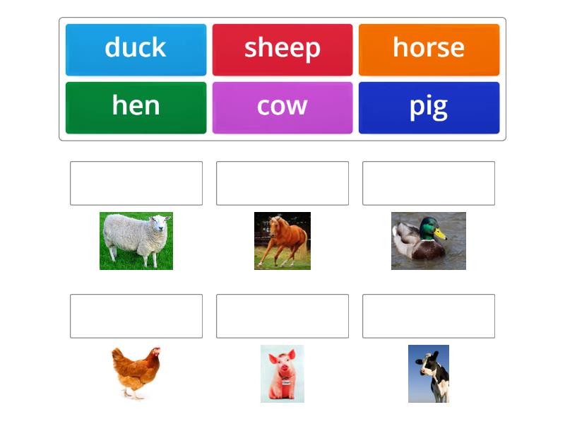 farm animals - Match up