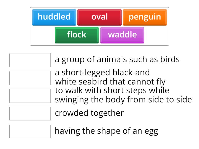 What's in the Egg, Little Pip Vocabulary - Une las parejas