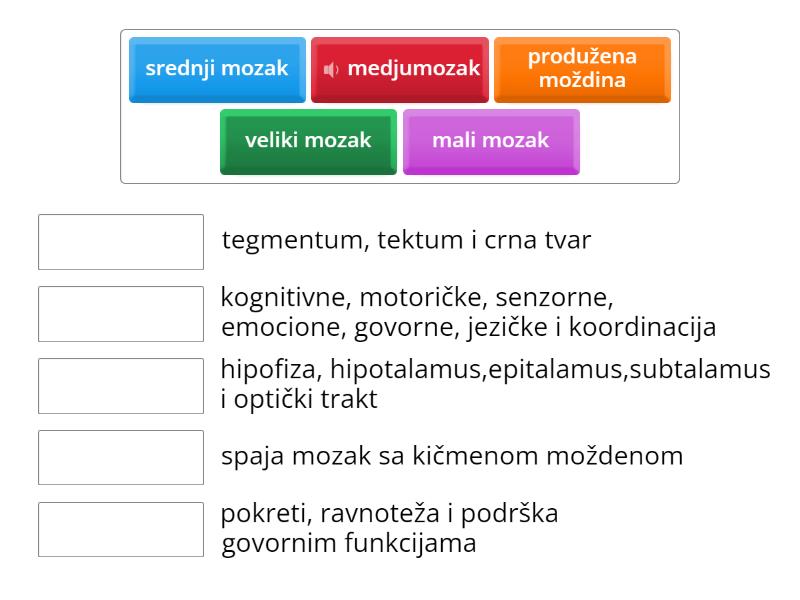 biologija prijemni 2 - Match up