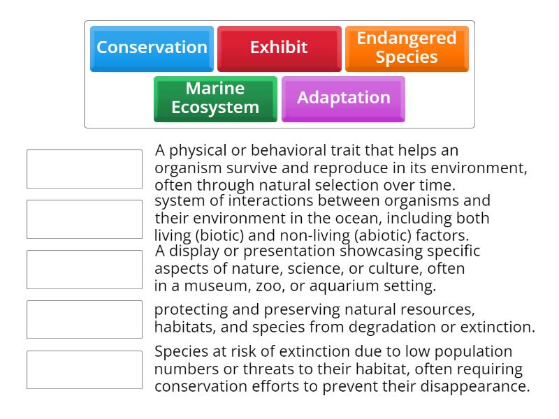 Matching Key Terms - Match up