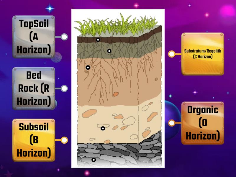 SCIENCE - SOIL PROFILE - Labelled diagram