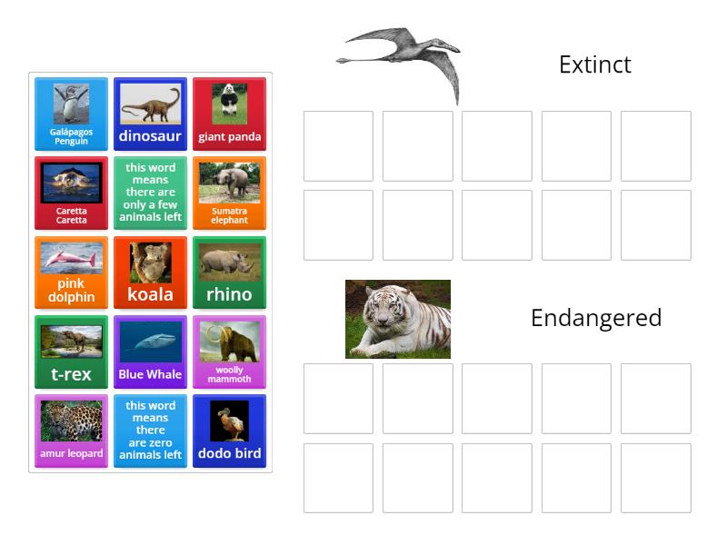 EXTINCT & ENDANGERED -BALANCE IN NATURE - Group sort