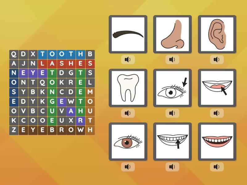 PARTS OF THE FACE - Wordsearch