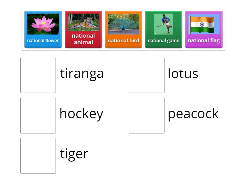 national symbols - Match up