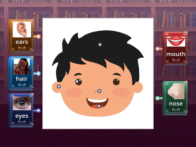 label the parts of the head - Labelled diagram
