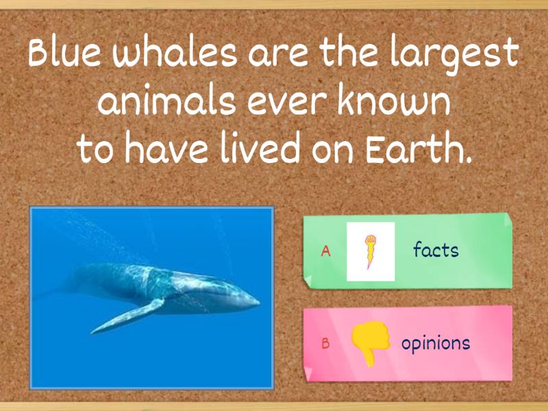 Blue Whales Facts and Opinions - Cuestionario